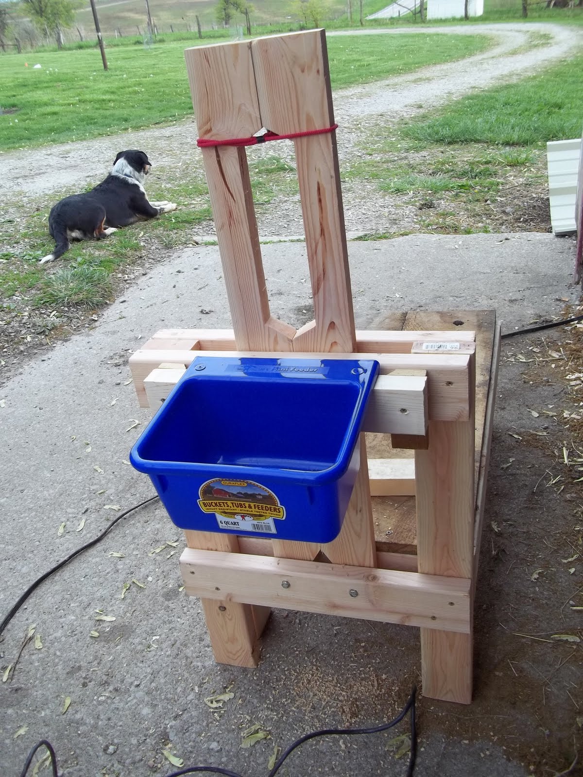 WildernesFamily: Goat milk!