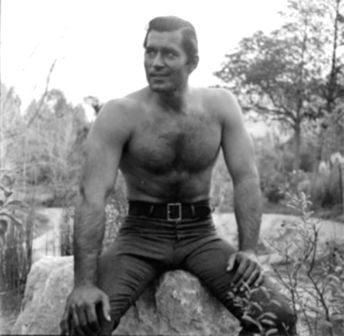 Tube Dreams: Night of the Muscle-Bear