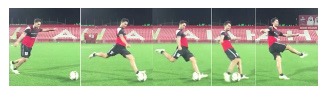 Anatomy & Physiology: muscular system: Assessment 2: Muscular System