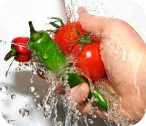 Tricks The Four Principles Of Good Food Hygiene