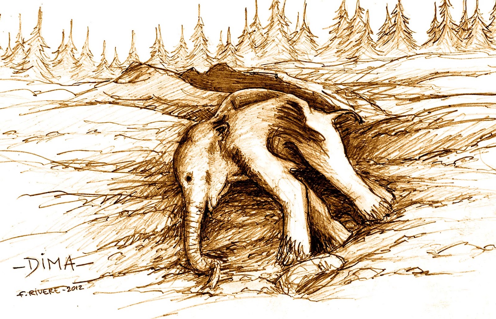 Florent Rivère: Bébés mammouths