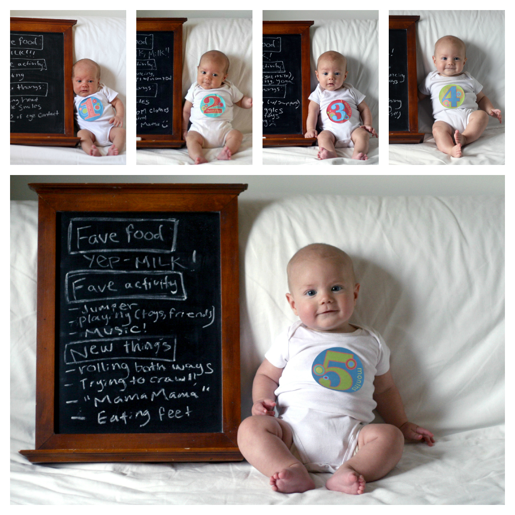 Dear Stevie...: 5 months old!