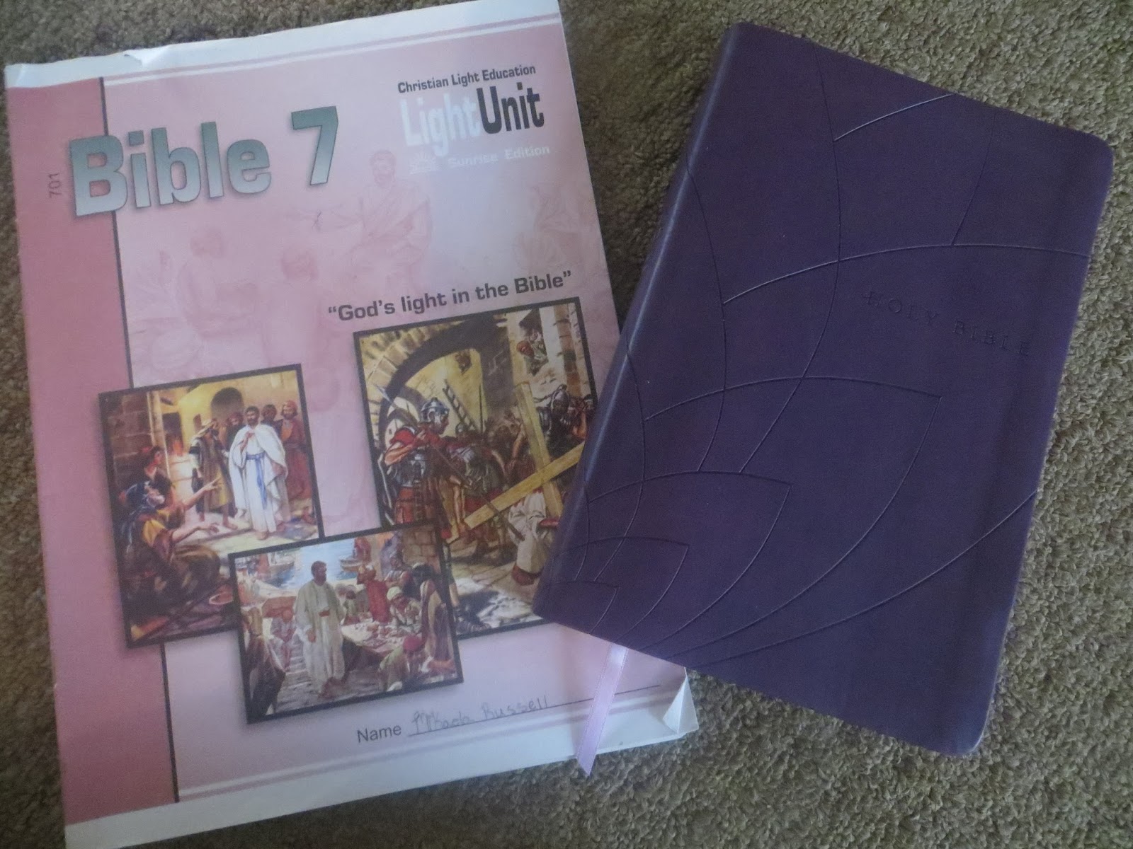 My Full Heart: Our 7th Grade Curriculum Choices {2015-2016}