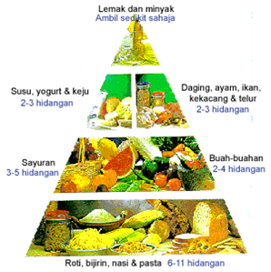 fit n gorgeous: Pemakanan Seimbang