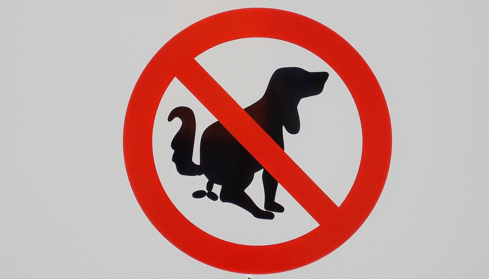 Alcalamegusta: Prohibido defecar perros