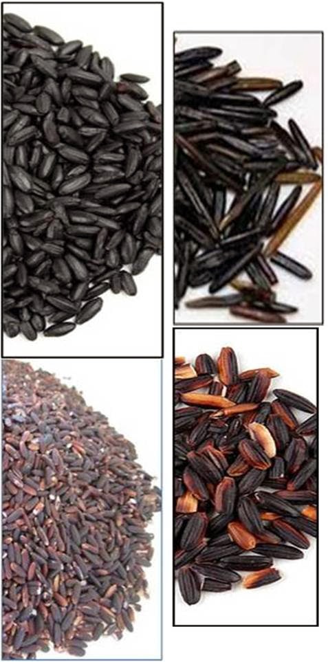 SABA HEALTH & BEAUTYCARE: Ada Apa Pada Beras Pulut Hitam