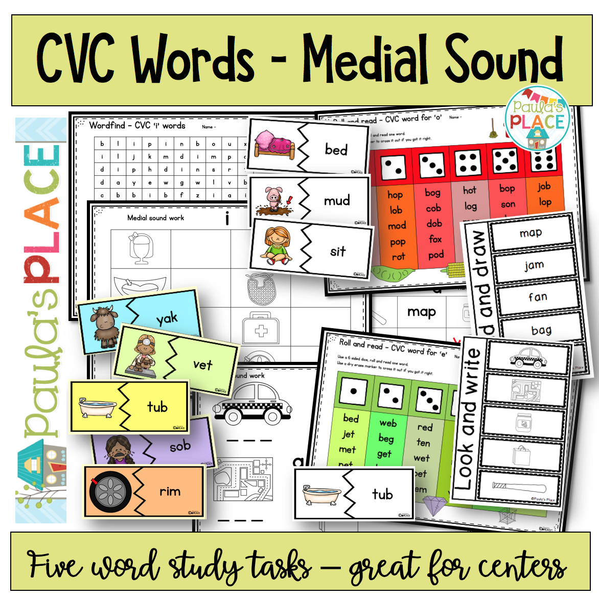 Paula's Place Teaching Resources: CVC and Medial Sound Tasks for ...
