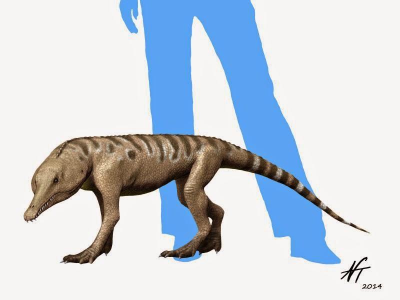 Chanaresuchus - Alchetron, The Free Social Encyclopedia