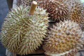 Make It Davao: Durian - King of Fruits
