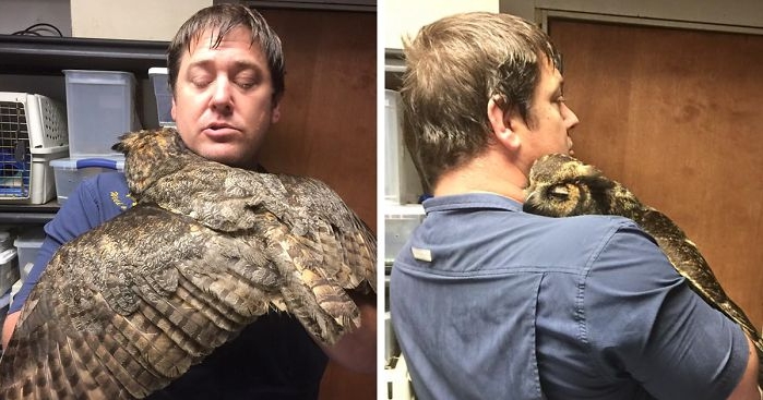 White Wolf : Owl gives the biggest hug imaginable to the man who saved ...