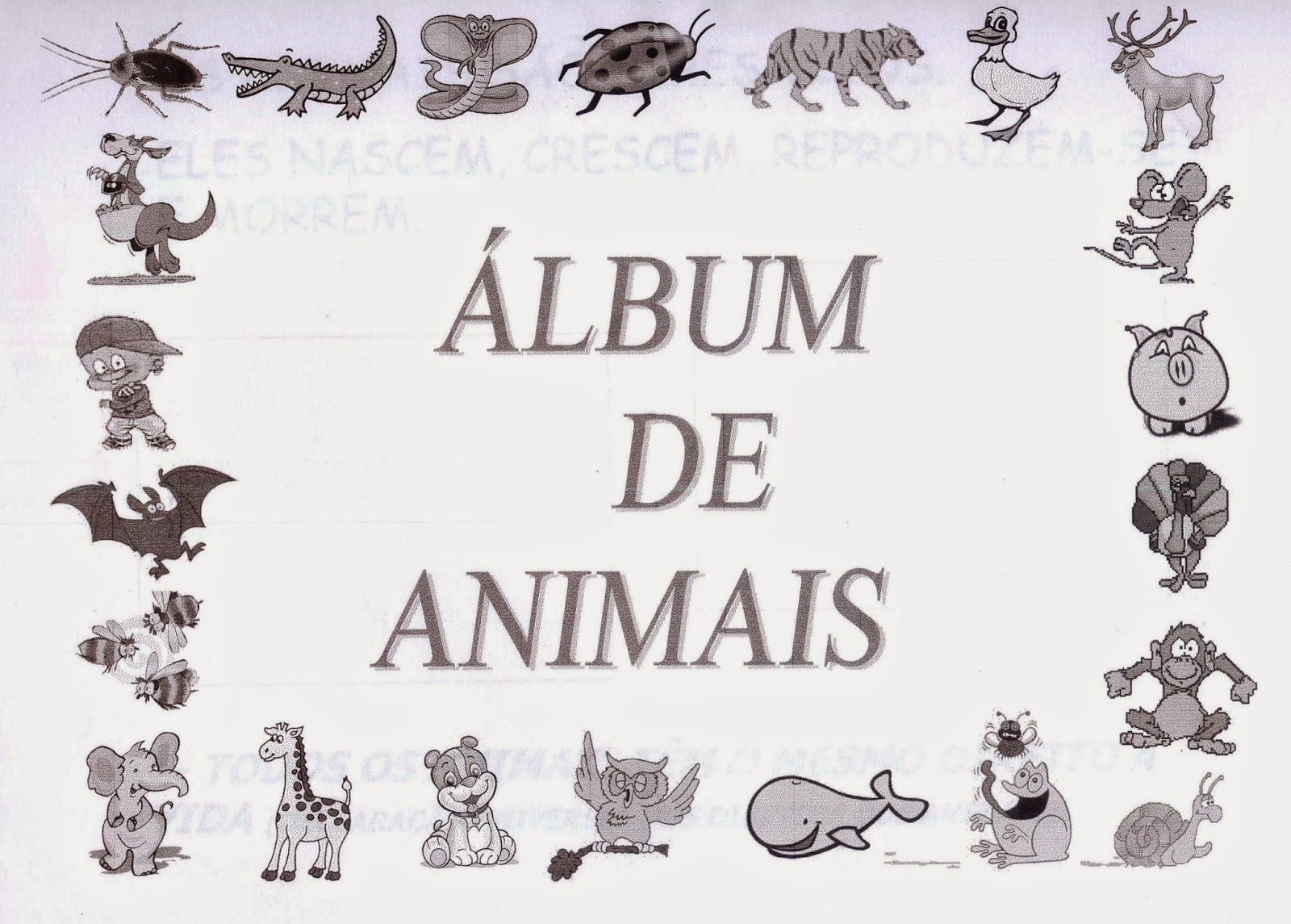 Álbum de animais | Acesso