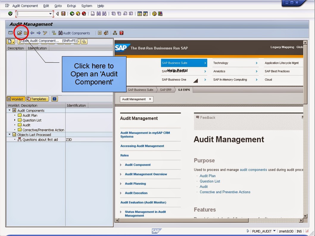 青蛙SAP分享 Froggy's SAP sharing: SAP ERP QM Audit Management Basics