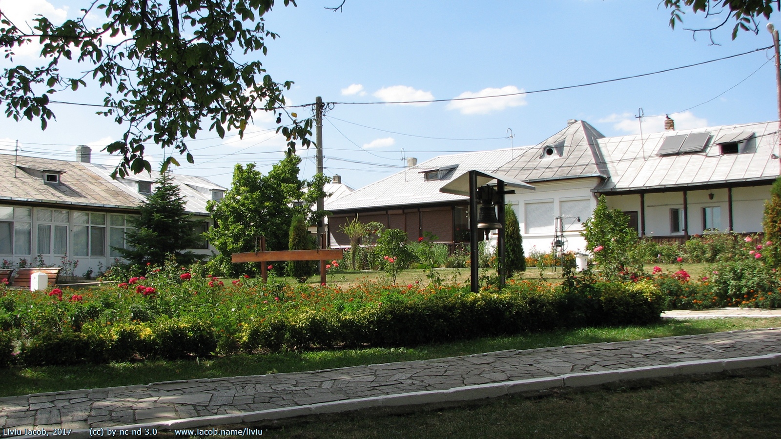 Traseu in Ilfov: Branesti (Padurea Pustnicu + Raul Pasarea ...