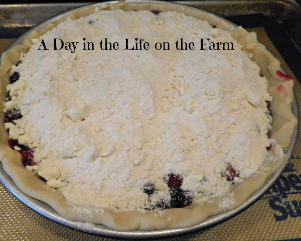A Day in the Life on the Farm: Michigan 4 Berry Pie #FoodnFlix