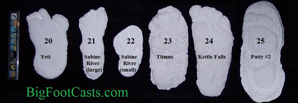 Sasquatch Tracks: Pictures of Sasquatch Tracks and Casts