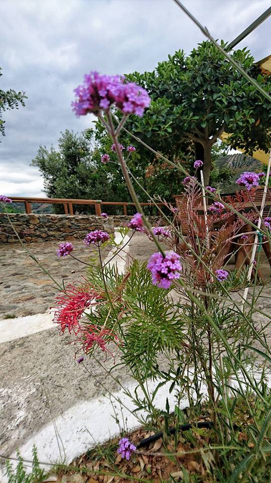 Travel Massive Road Trip Chania - A Pinch of Soul and Style