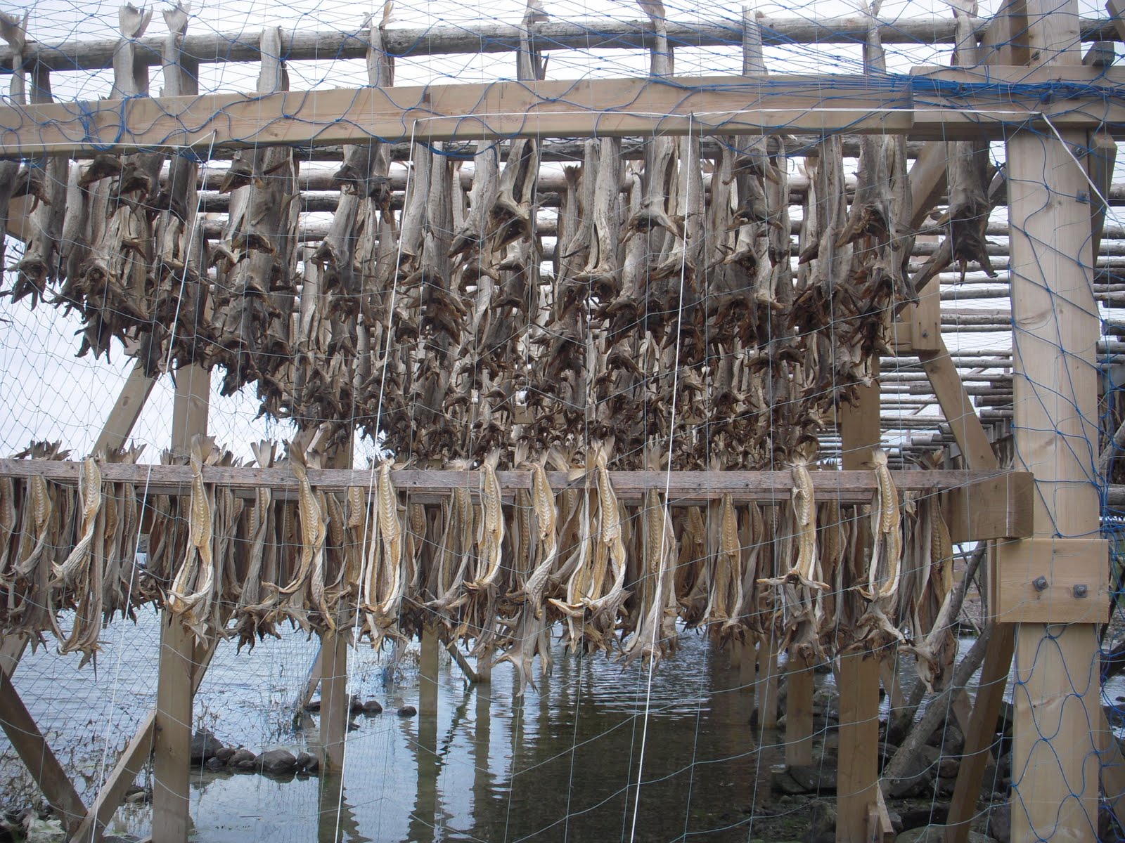 Larry: July 12th – Sor-Landego, Landegode