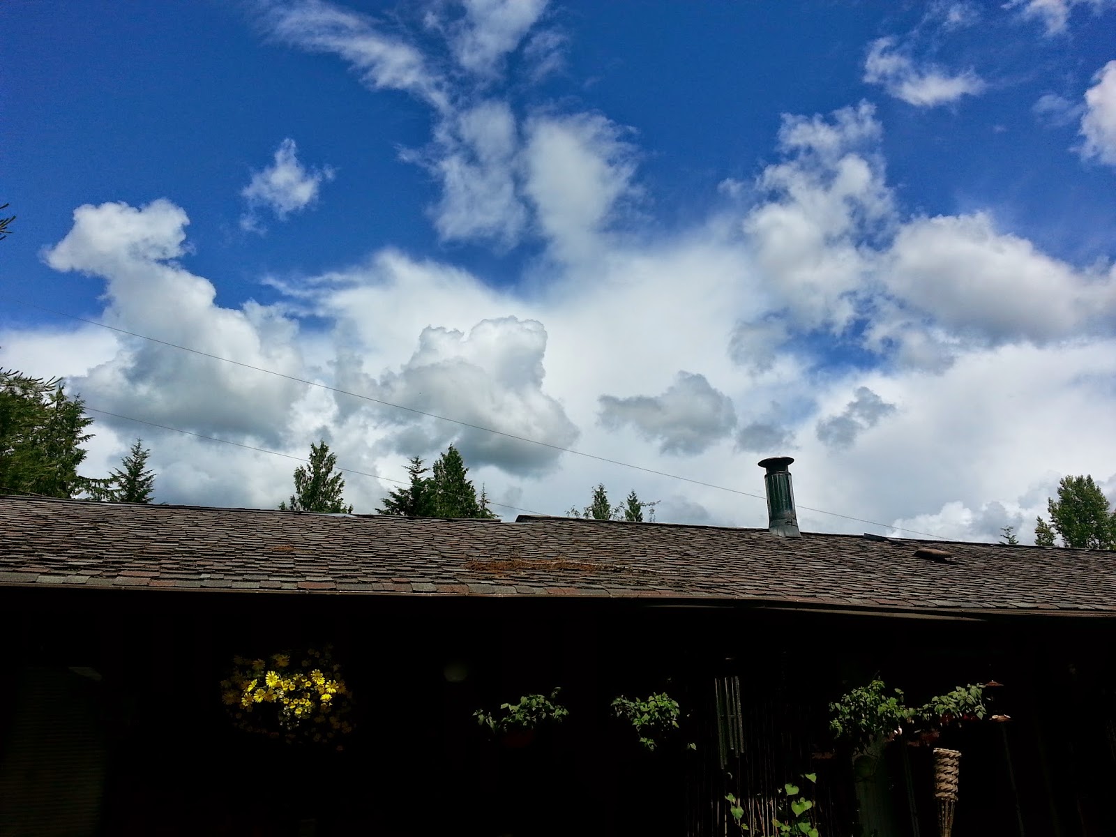 Lioness in Exile: August 2014