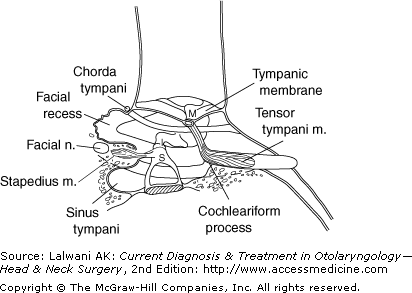 Skull and Spine: The Pit and the Pyramid