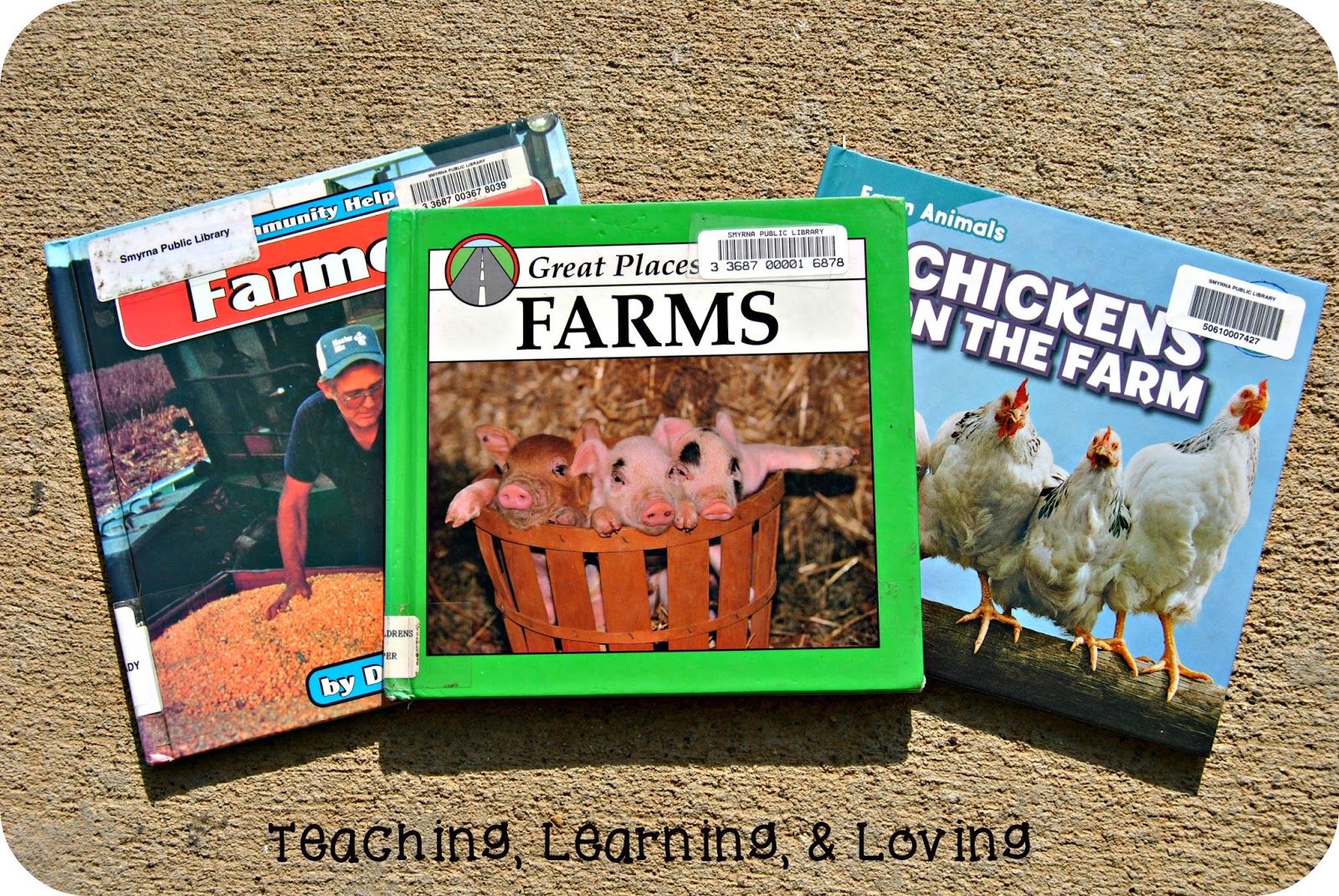 Teaching, Learning, & Loving: Fun on the Farm!