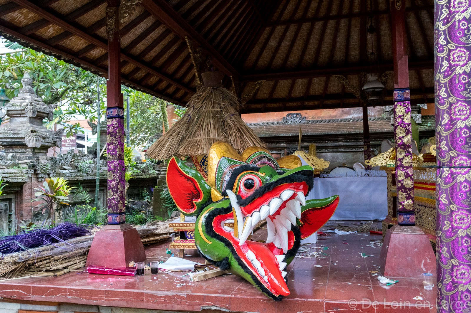 De loin en large: juin 2016