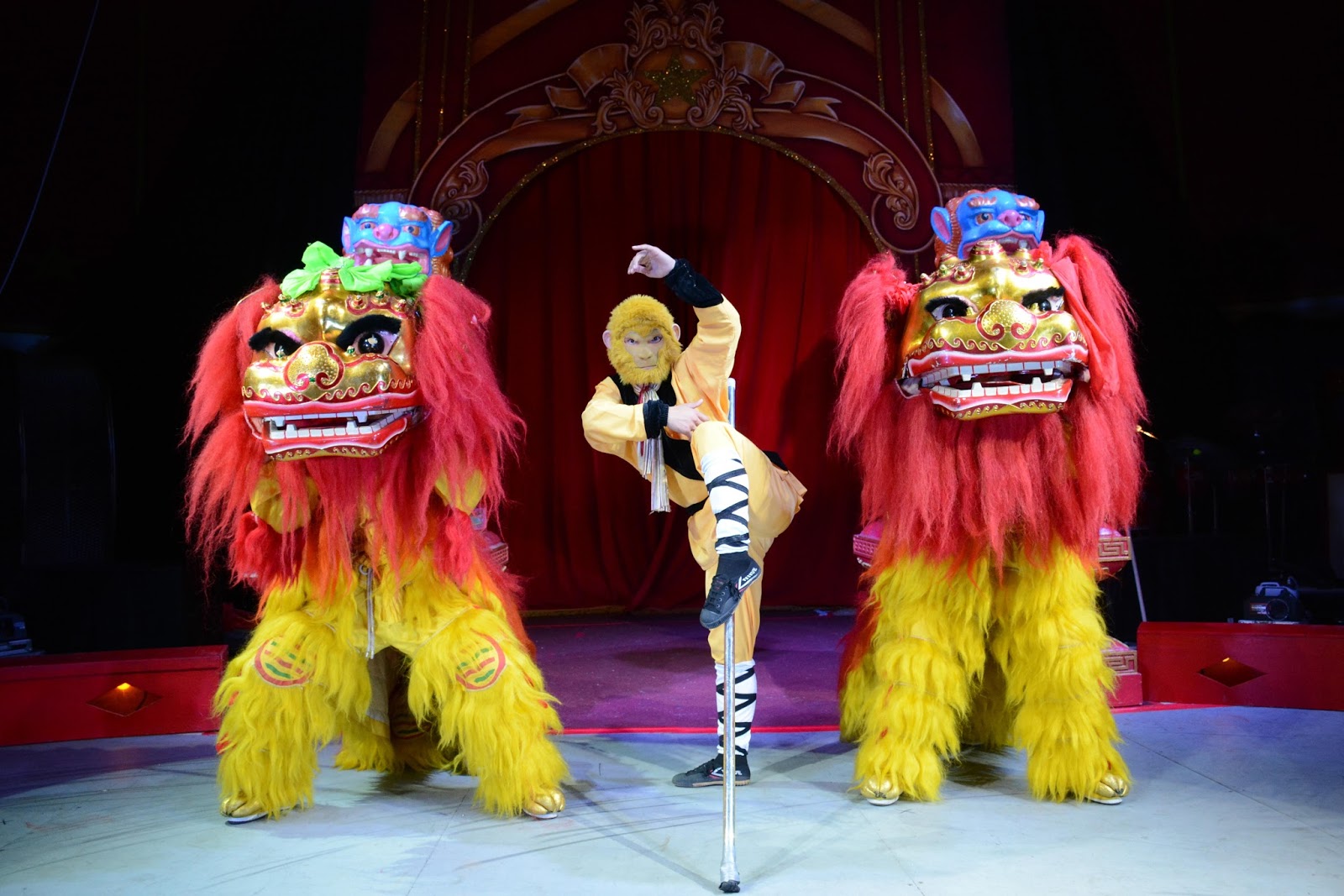 The Chinese State Circus - What You Need to Know