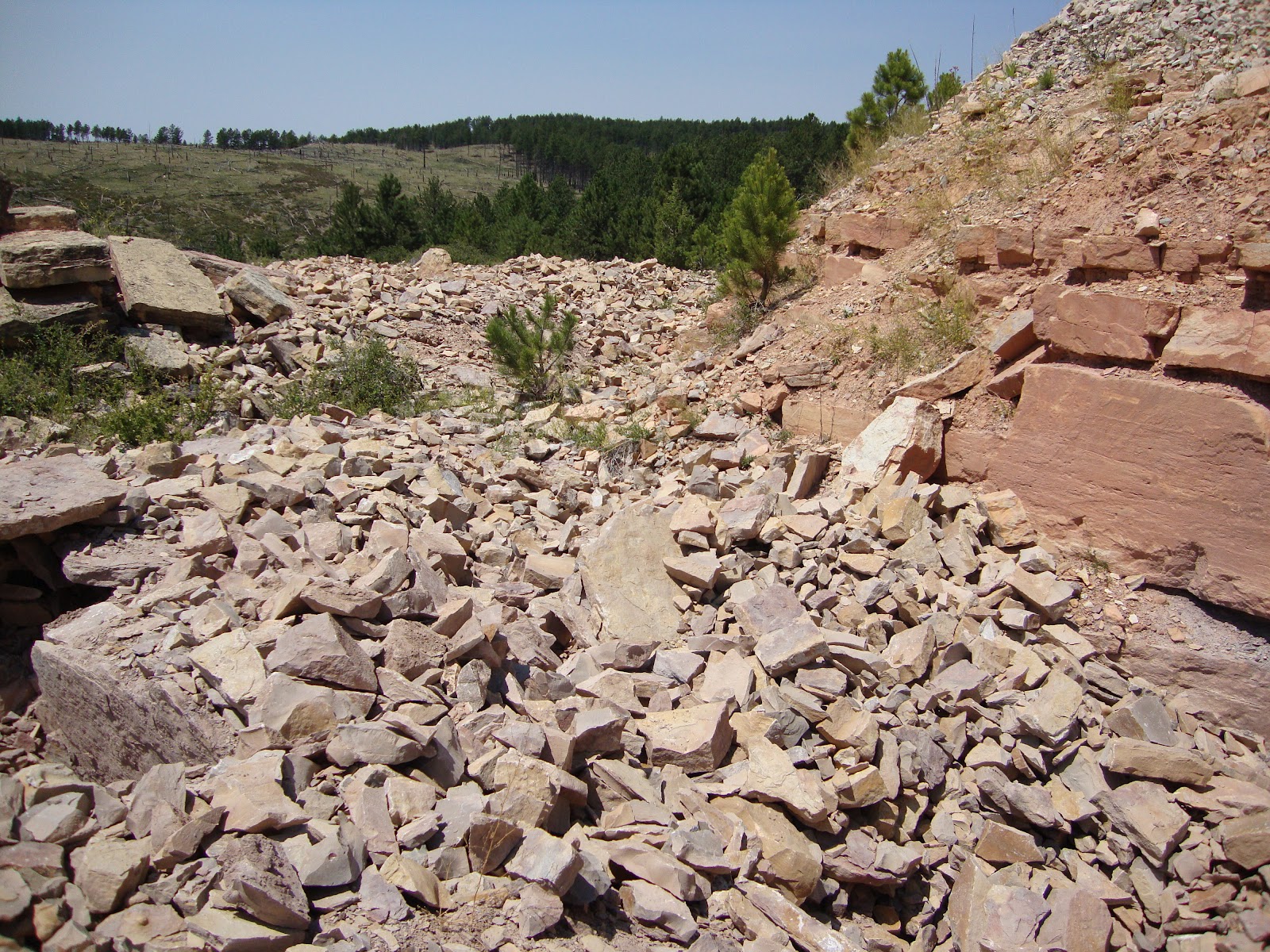 CSMS GEOLOGY POST: CRACKING ROCKS AT TEEPEE CANYON:AGATES