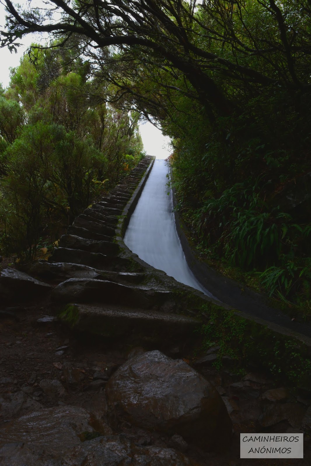 Caminheiros Anónimos Levadas da Madeira : Levada Grande do Paul (Calheta)