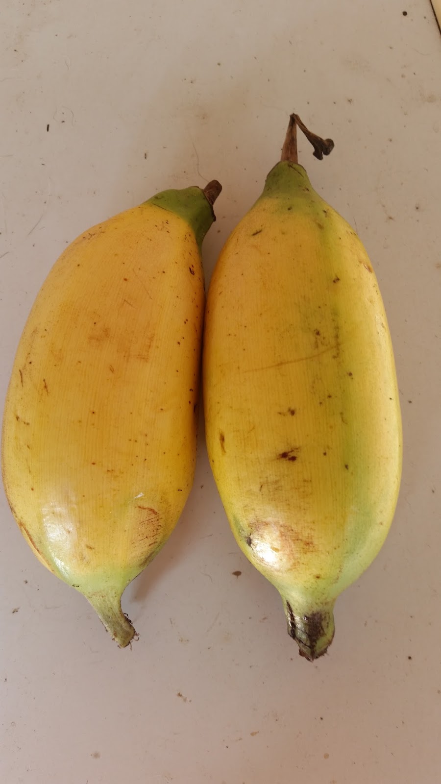 Warisan Petani: Buah Pisang 2