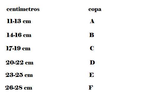 Nukita Kokoro: ::: Cosas que deberiamos saber: El sujetador correcto