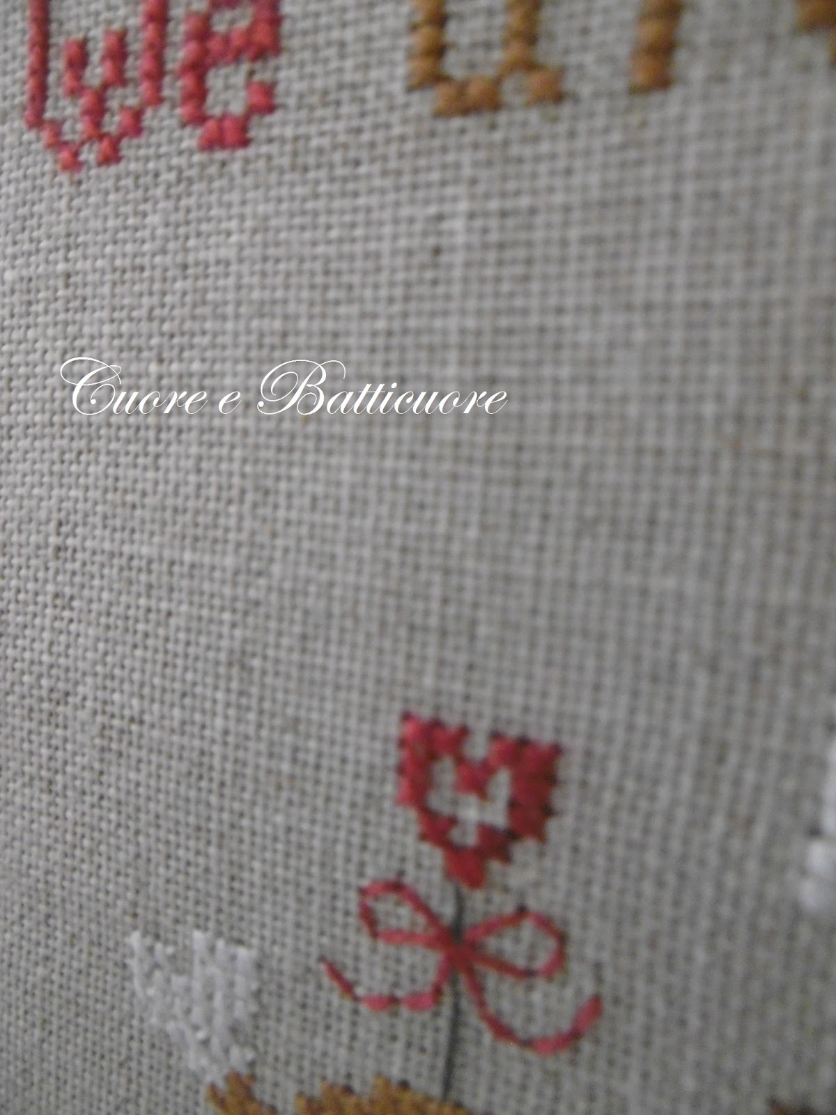 Cuore e Batticuore: Il primo del 2016:"Cuochi in Erba"