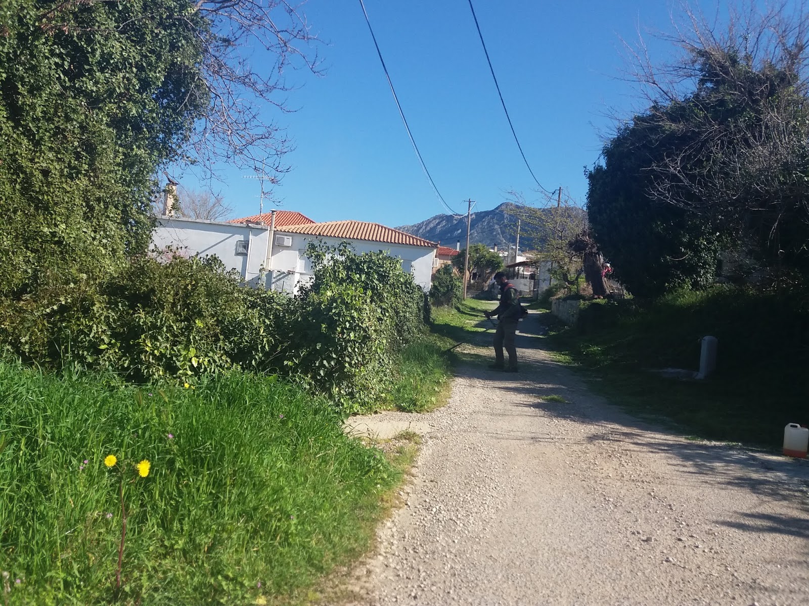 ΠΛΑΤΗ (ΚΑΝΑΛΟΥΠΟΥ): ΠΛΑΤΗ: ΕΘΕΛΟΝΤΙΣΜΟΣ ΚΑΝΑΛΟΥΠΟΥΣ. ΚΟΨΙΜΟ ΧΟΡΤΑΡΙΩΝ ...