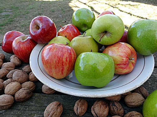 Cuina Cinc: La Poma. Pastís de poma amb les quatre varietats i dues ...