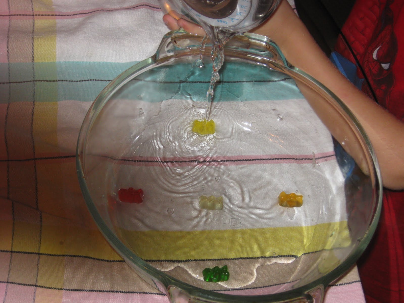 Science for Kids: Experiment 1: Growing Gummy Bears