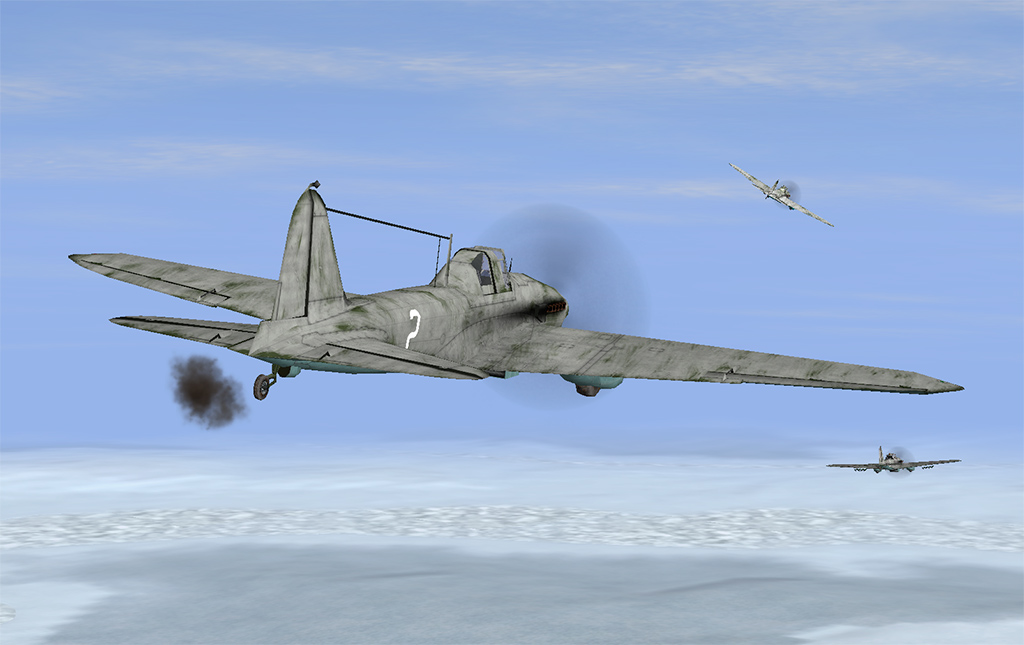 IL-2