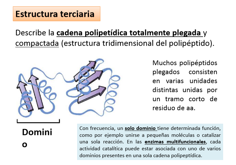 PRINCIPIOS DE LA BIOQUIMICA: abril 2016
