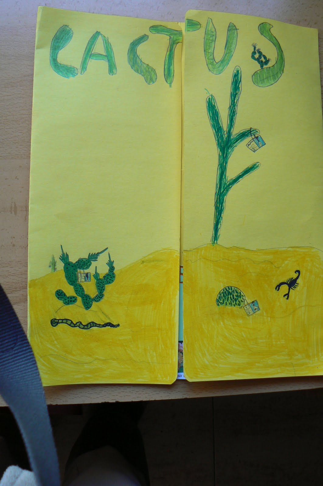 Orca: observar, recordar, crecer y aprender: Lapbook: cactus