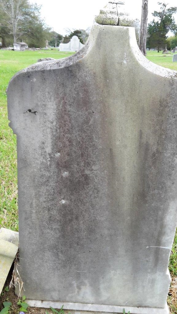 The Civil War Picket: The bullet, ball field and Baton Rouge: Battle ...