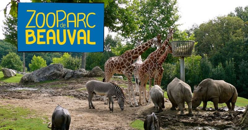 The ZooParc de Beauval - World Famous Zoo