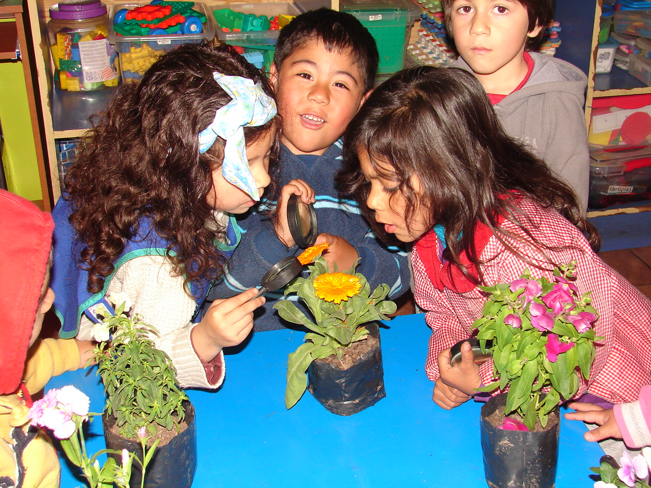 Jardín Infantil "Un Mundo de Amor": Actividades que hemos desarrollado ...