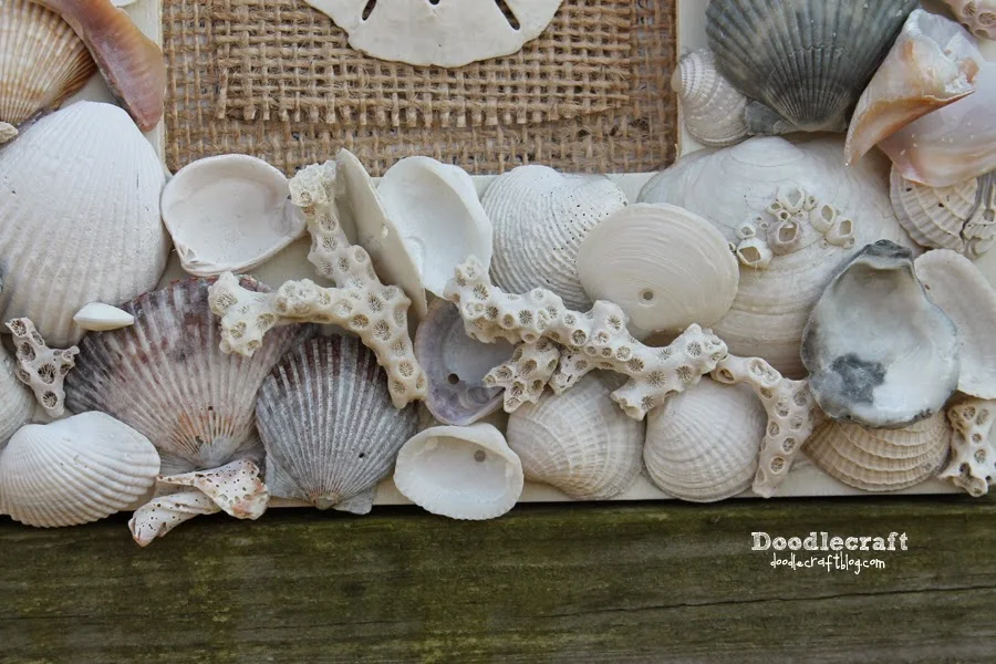 Seashell Memory Frame Keepsake!