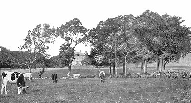 Brabazon Family History: BRABAZON HOUSE, SWINFORD, Co MAYO