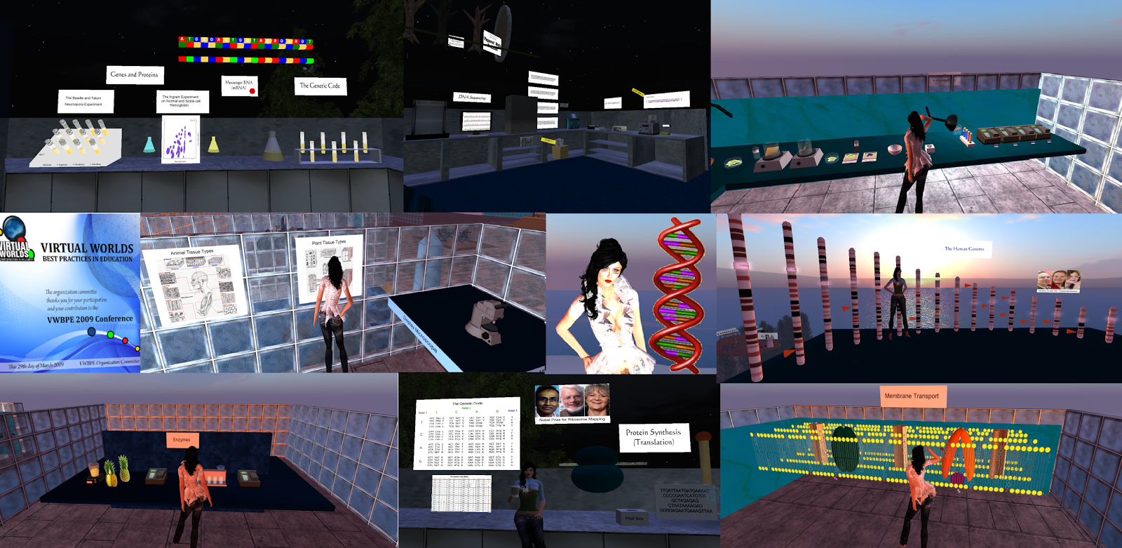 The Genetic Journey of Max Chatnoir- Bimala Tagore Reporting ~ The SL ...