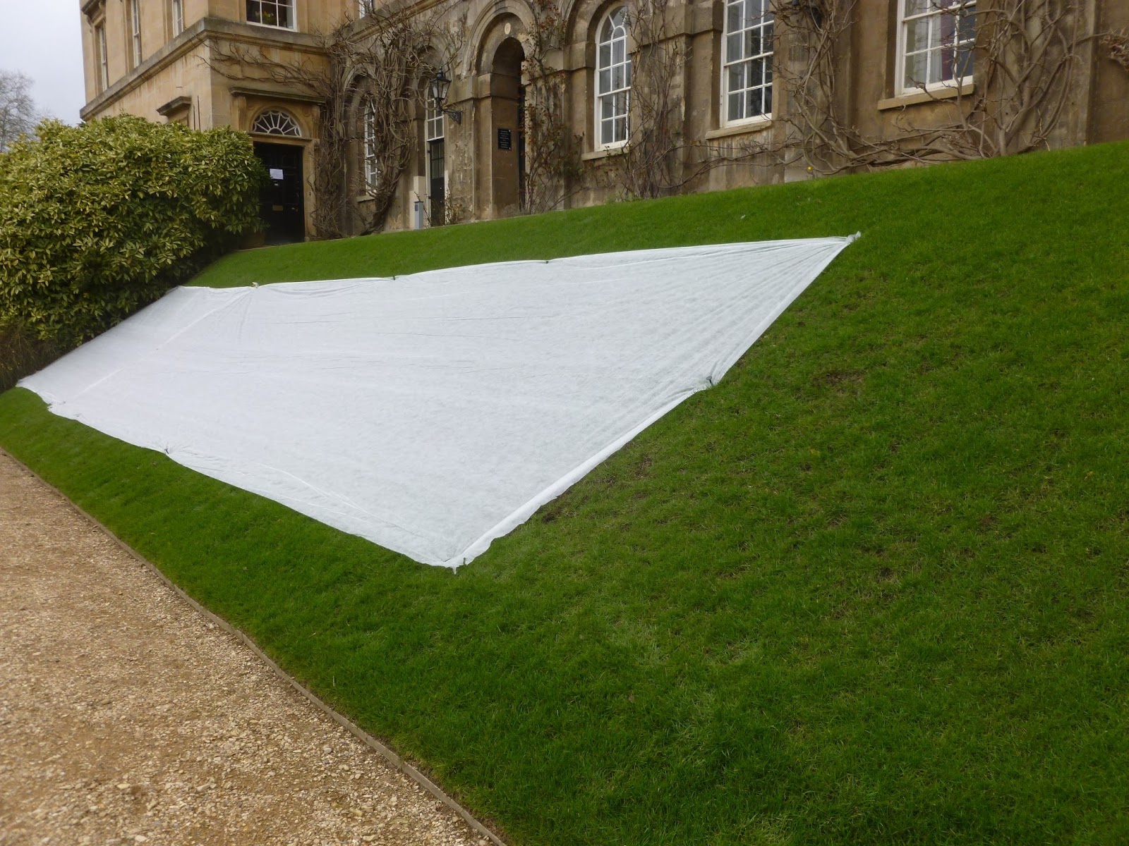 Worcester College Gardeners 2009-2018: Leaf Spot, Melting Out and ...