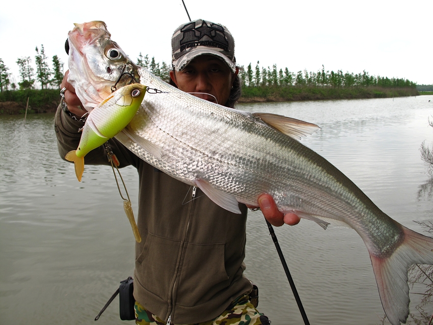 ANGLING WORLD 魔魚釣界: China Fishing 1.0