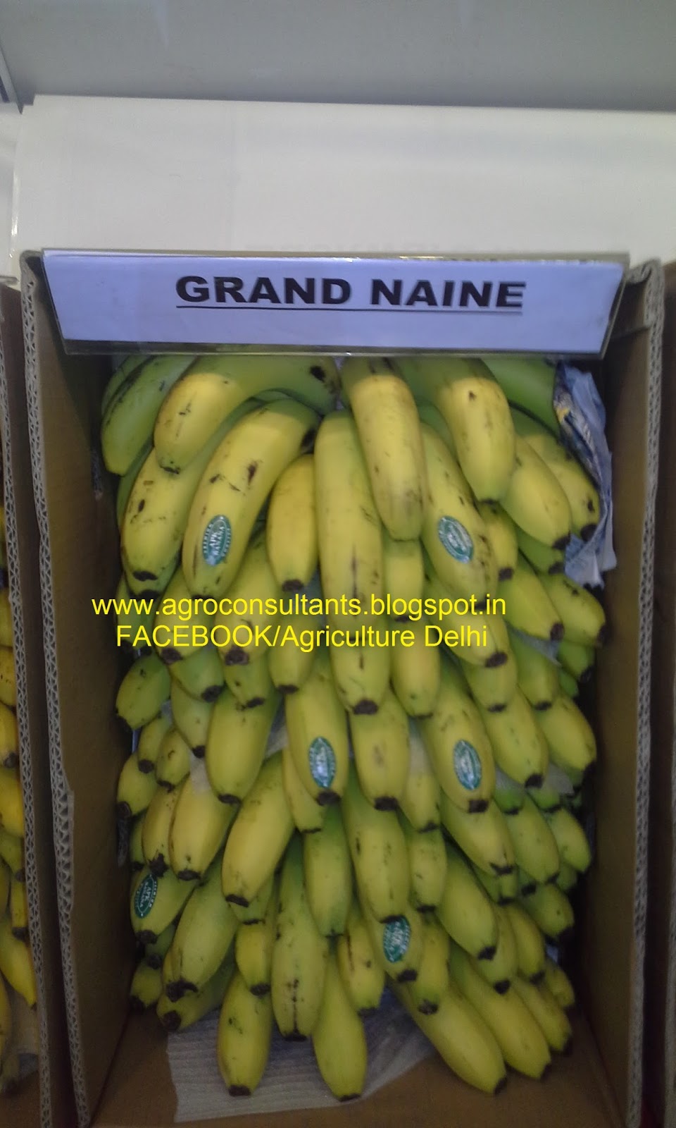 Somesh Jha: Banana केला Kela