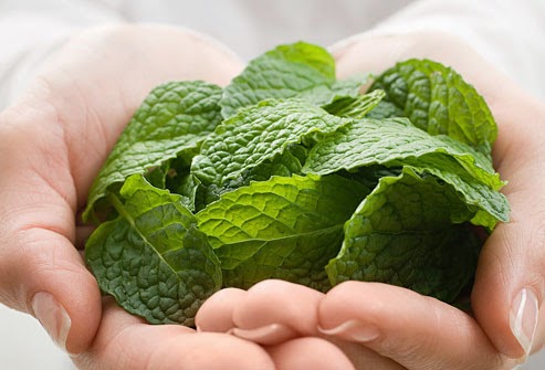 Spark Naturals Blog: Diffuser Blends with Peppermint