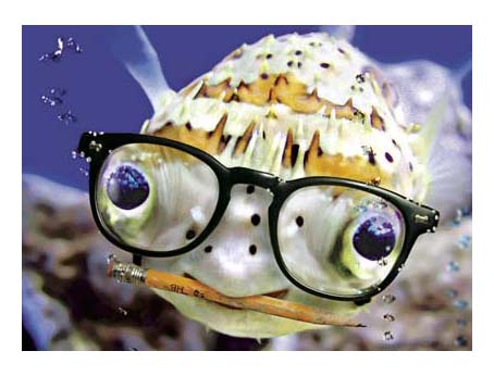 Bloggin' for Fish: A Group Response to "What Should Colleges Teach ...