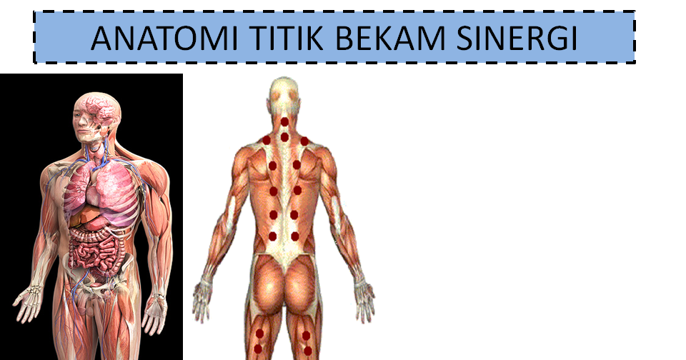 TEORI BEKAM: ANATOMI TITIK BEKAM SINERGI