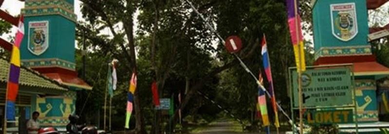 Pesona Wisata Way Kambas, Objek Tersembunyi di Ujung Pulau Sumatra
